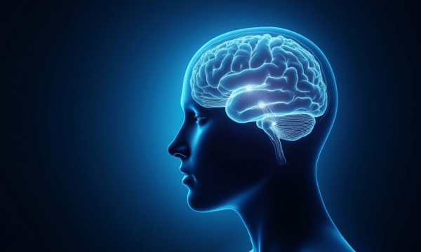 Limbic System Retraining: A New Path to Healing and Recovery